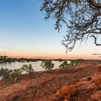 Yinggarda readings – Languages of the Gascoyne Region, Western Australia